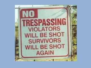 Funny Traffic Signs | PPT