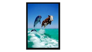 fun session for team building and fun friday | PPTX