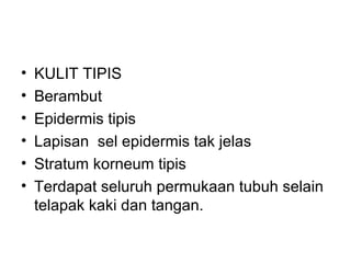 Funsi kulit (modul kulit dan jaringan penunjang) | PPT