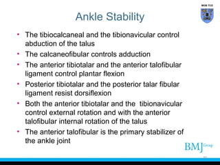 Functional anatomy of the ankle joint complex | PPT