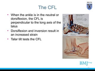 Dorsiflexion Anatomy
