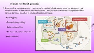 Functional Genomic l Genomes l proteomic l DNA l #genomics #proteomics ...