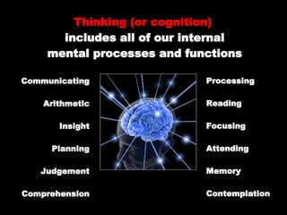 Functions of the Brain | PPT