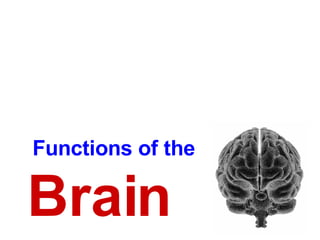 Brain Function Images