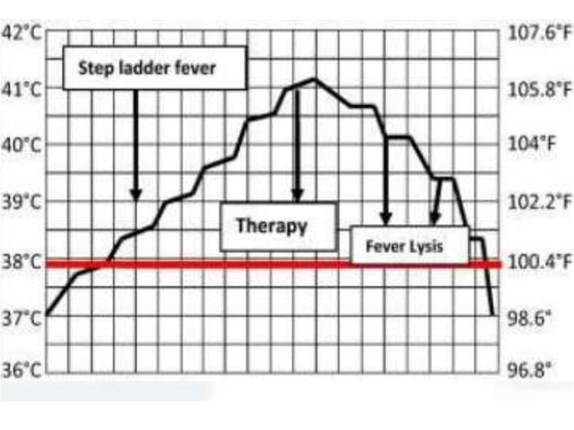 FEVER OF UNKNOWN ORIGIN - PEDIATRICS | PPTX | Infectious Diseases ...
