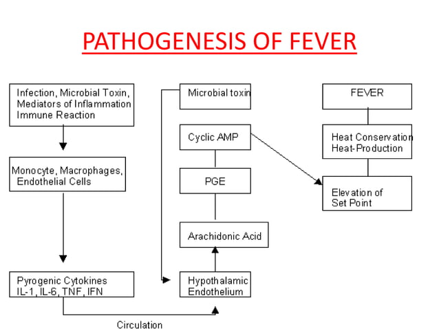 FEVER OF UNKNOWN ORIGIN - PEDIATRICS | PPTX | Infectious Diseases ...