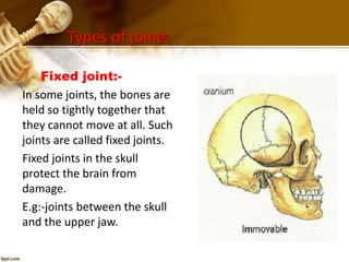 Joints | PPT