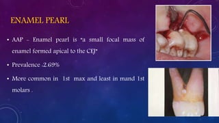 Furcation involvement and management | PPTX
