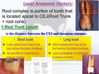 Furcation involvements and its treatments | PPTX