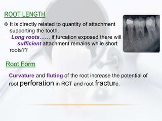 Furcation involvements and its treatments | PPTX
