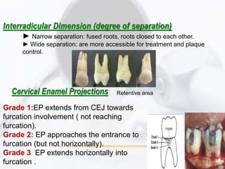Furcation involvements and its treatments | PPTX