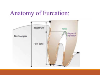 Furcation involvement | PPT