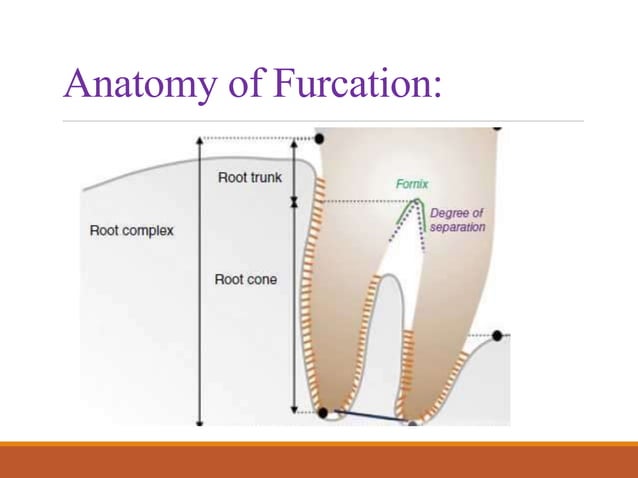 Furcation involvement | PPT