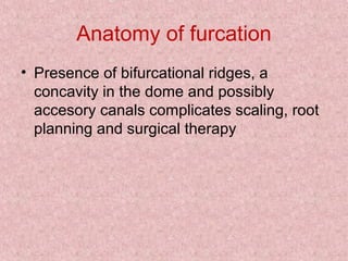 Furcation ppt | PPT