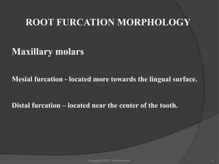 Furcation the problem and its management | PPTX