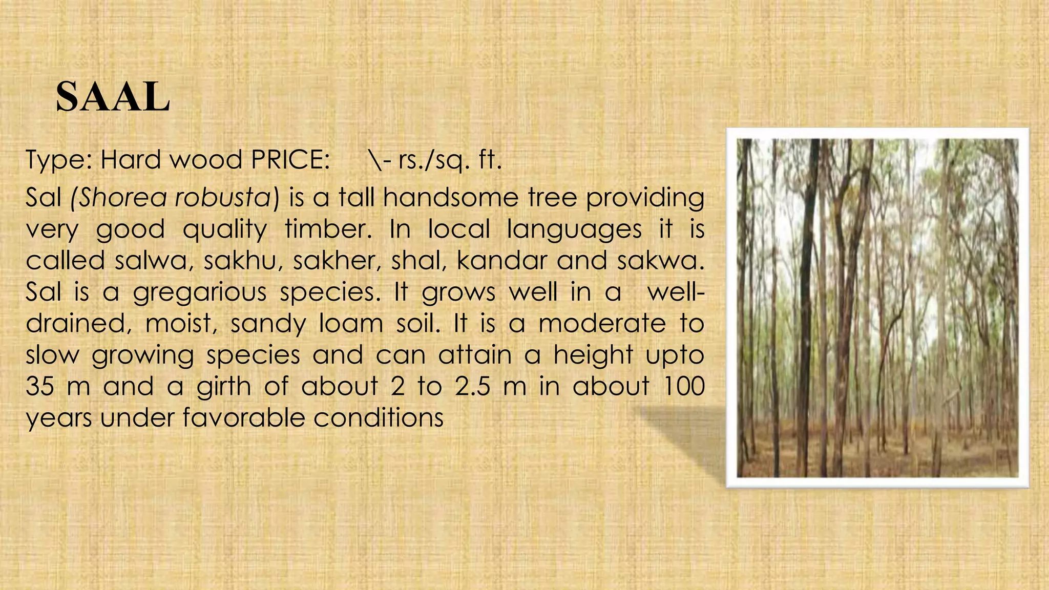 NATURAL WOOD. | PPTX