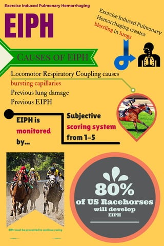 Equine Induced Pulmonary Hemmorage | PDF