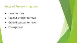 Furrow irrigation | PPTX | Gardening | Home & Garden