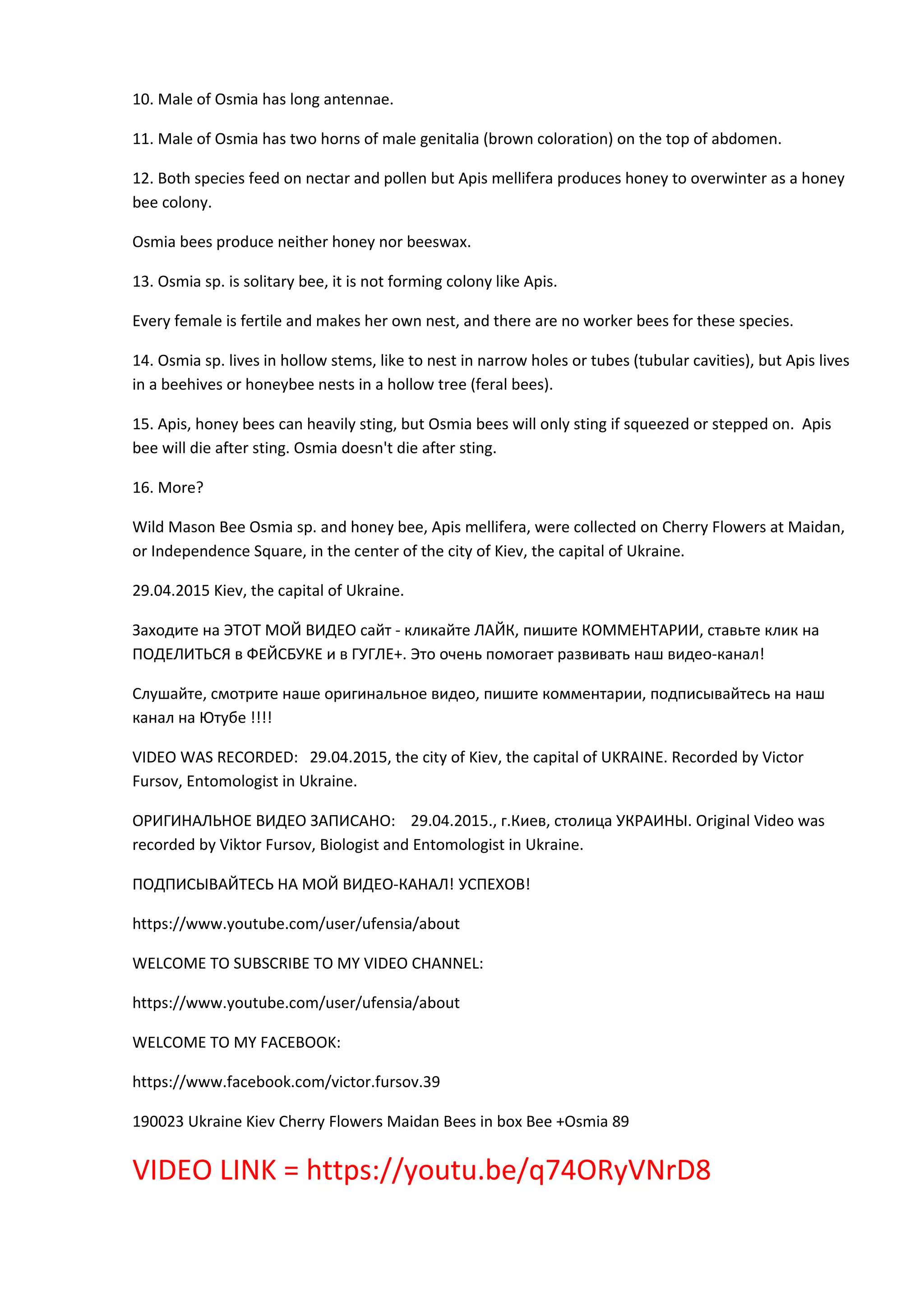 Fursov V.N. How to Find 15 differencies between honeybee & mason bee: Wach Video | DOC