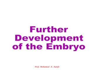 Further development of the embryo | PPT