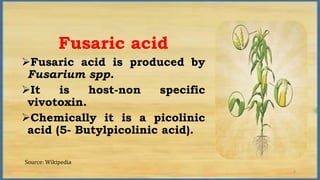 Fusaric acid a potent vivotoxin.pptx