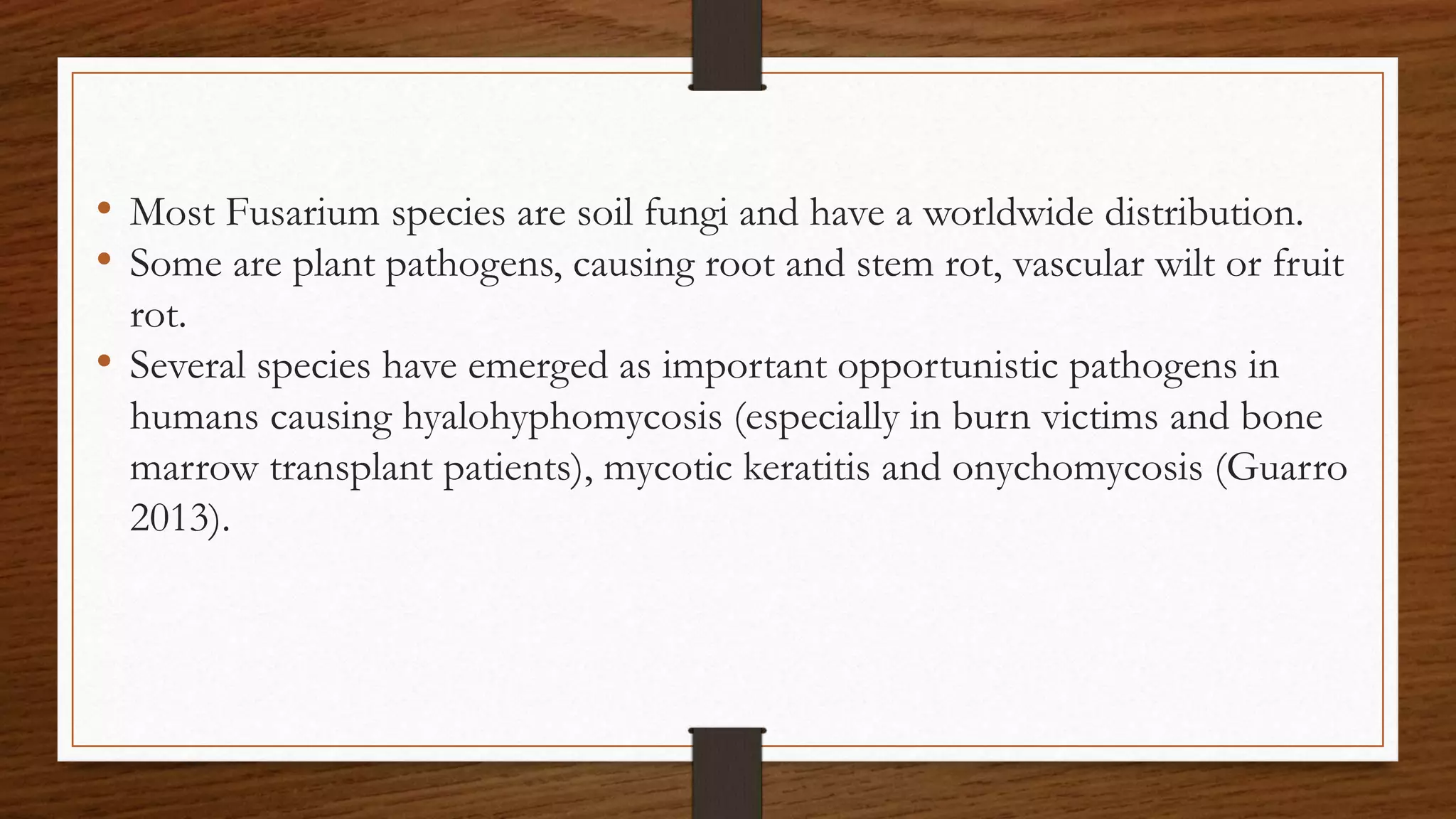 Fusarium | PPTX