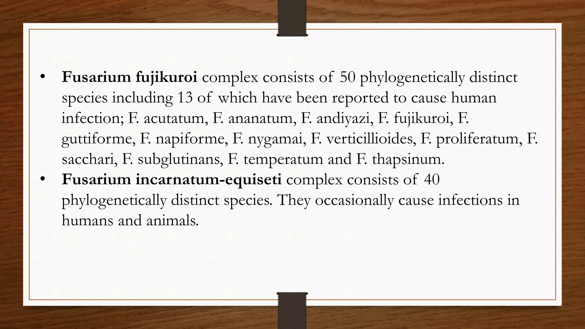 Fusarium | PPTX