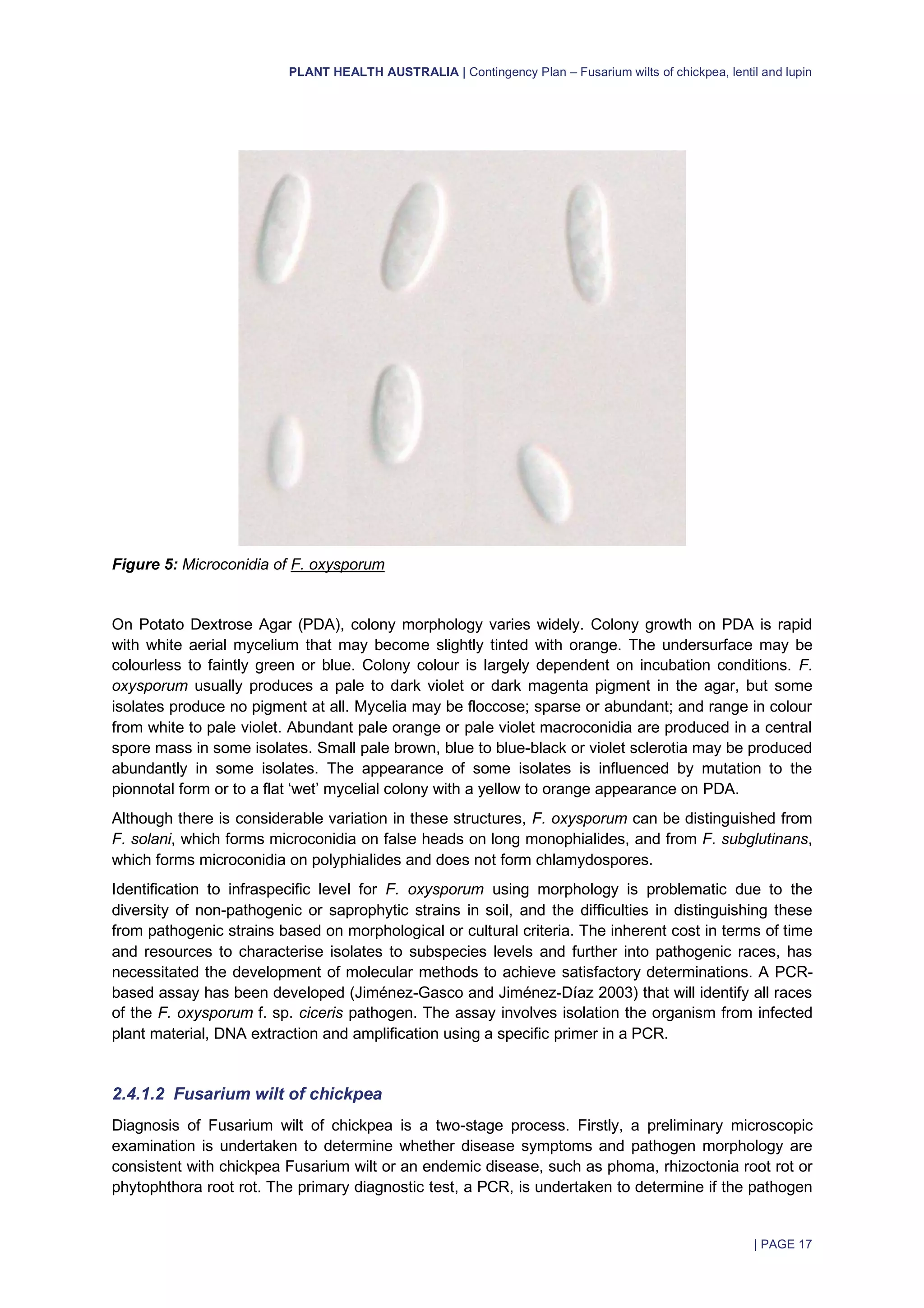 Fusarium wilt-of-chickpea-lentil-and-lupin-cp-2009 | PDF