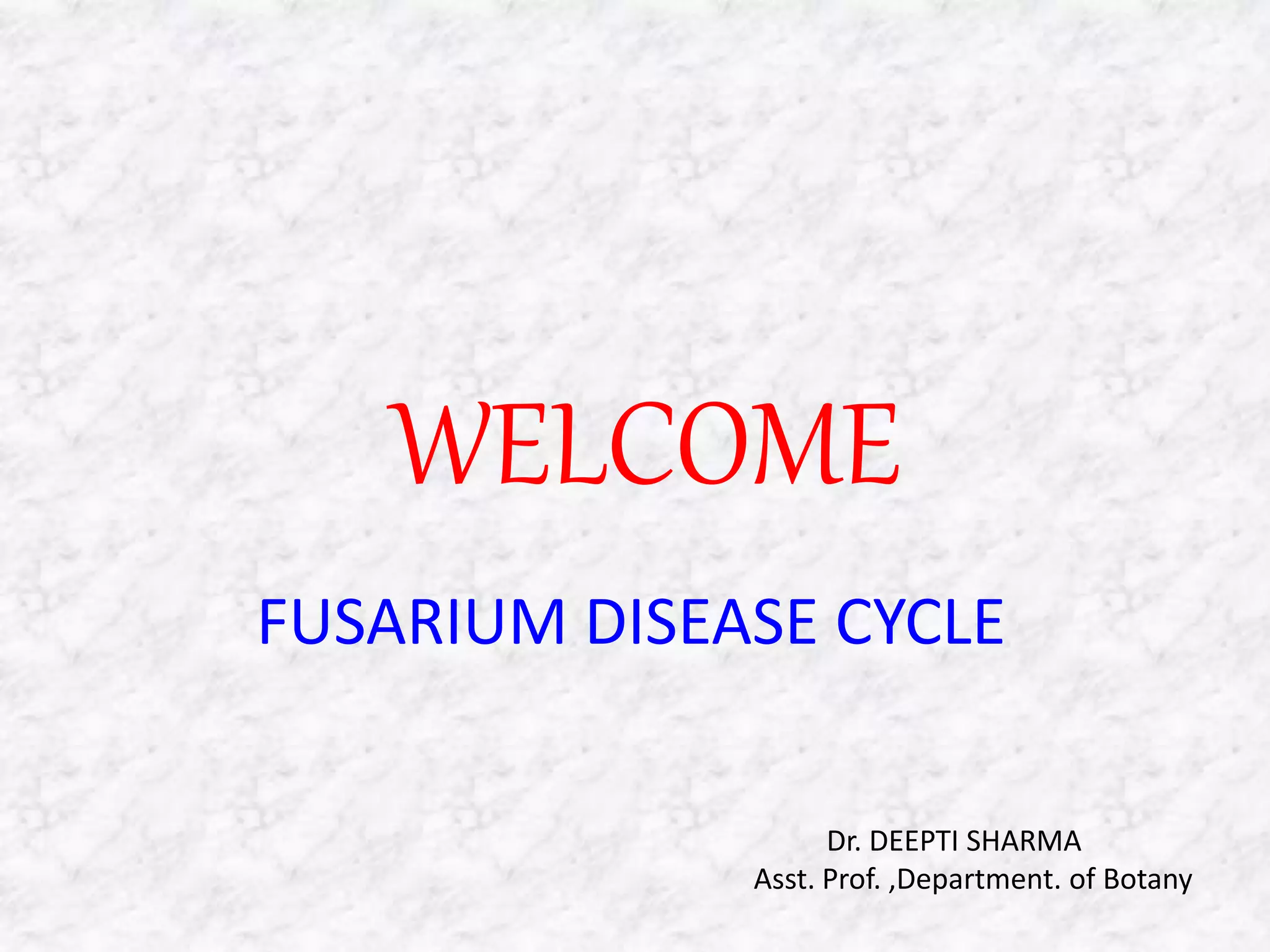 Fusarium life cycle | PPTX