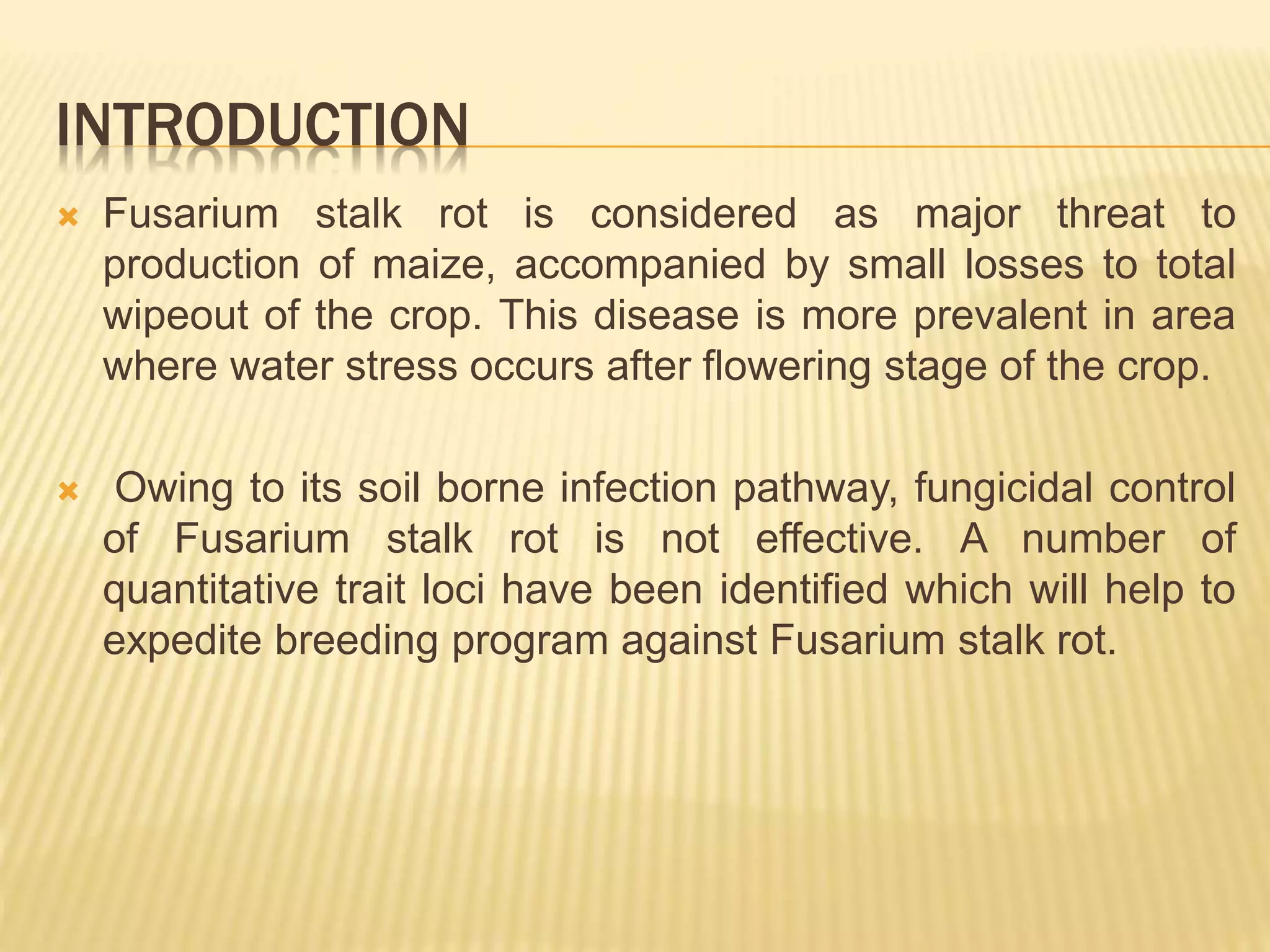 Fusarium root stalk of maize | PPTX