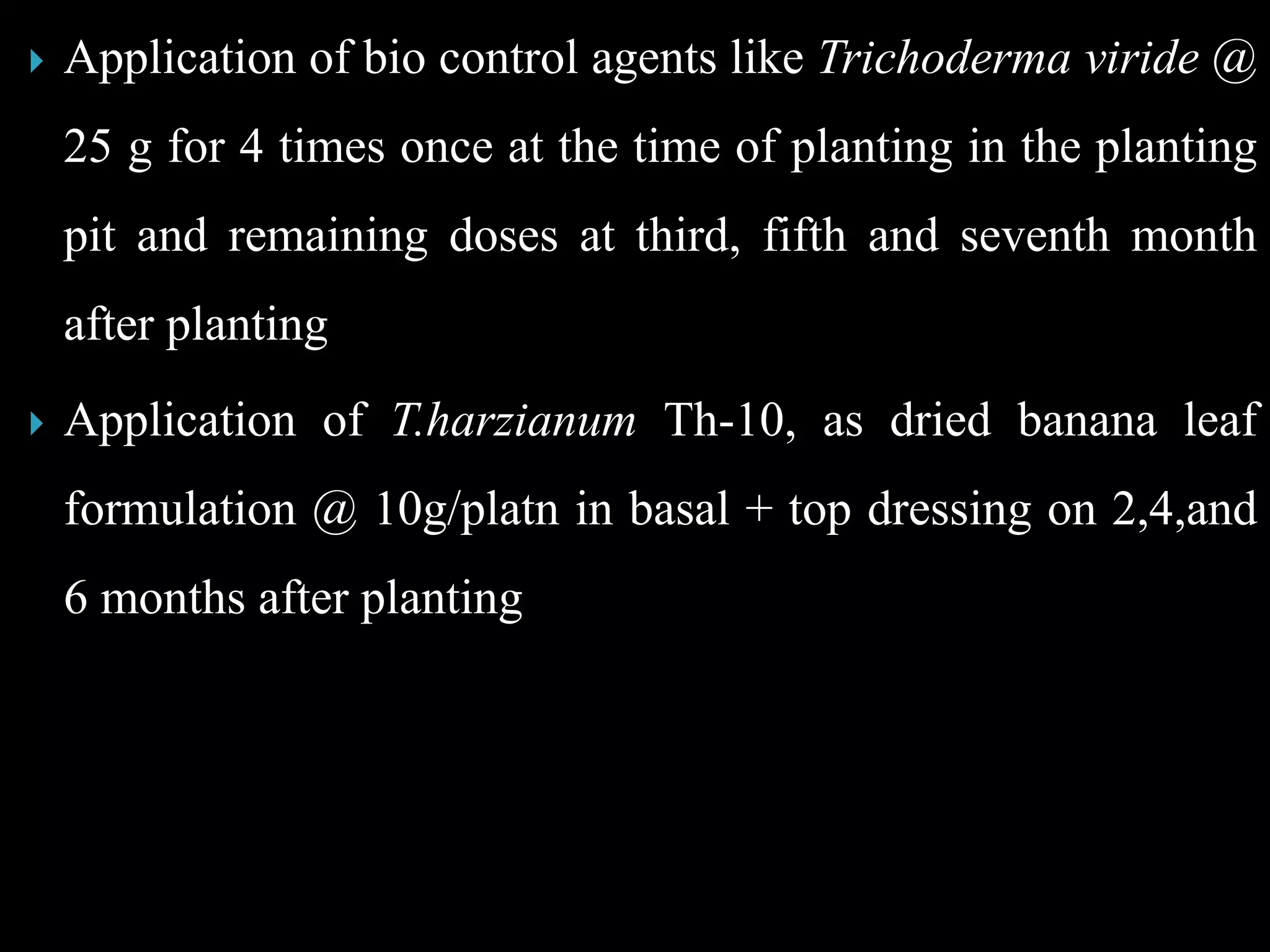 Fusarium wilt banana | PPTX