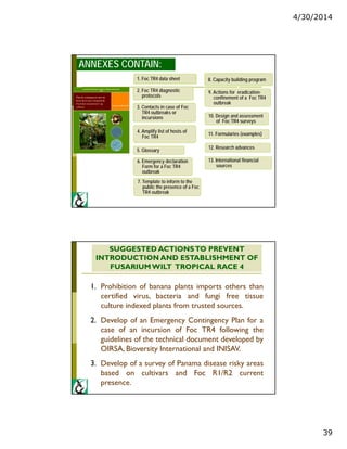 Global Epidemiological Situation of Fusarium Wilt of Bananas (TR4) | PDF