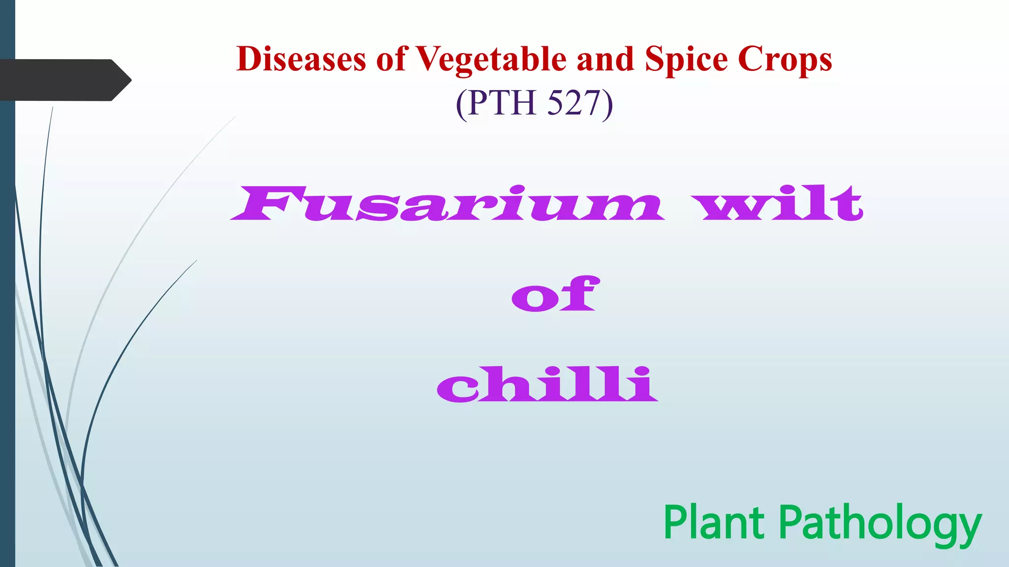 Fusarium wilt of chilli | PDF
