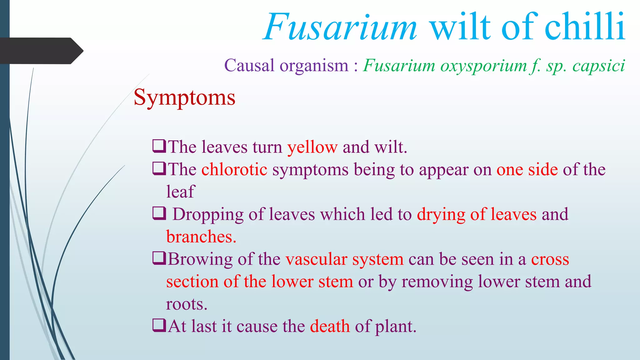 Fusarium wilt of chilli | PDF