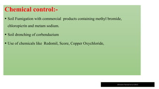 IDM for Fusarium wilt of cucurbits | PPTX