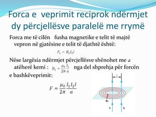 Fusha Magnetike | PPTX