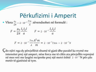 Fusha Magnetike | PPTX