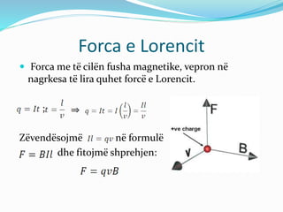 Fusha Magnetike | PPTX