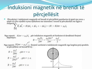 Fusha Magnetike | PPTX