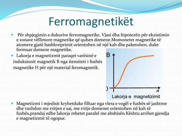 Fusha Magnetike | PPTX