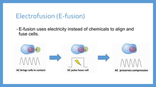 Fusion of cells by peg and inactivated virus | PPTX