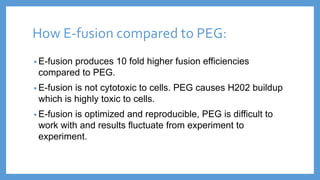 Fusion of cells by peg and inactivated virus | PPTX
