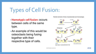 Fusion of cells by peg and inactivated virus | PPTX