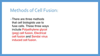 Fusion of cells by peg and inactivated virus | PPTX