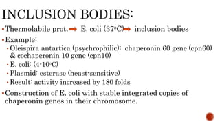 Fusion proteins & inclusion bodies, M. Sc. Zoology, University of ...