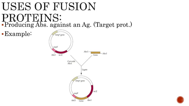 Fusion proteins & inclusion bodies, M. Sc. Zoology, University of ...