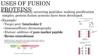 Fusion proteins & inclusion bodies, M. Sc. Zoology, University of Mumbai | PPTX