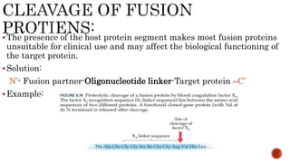 Fusion proteins & inclusion bodies, M. Sc. Zoology, University of ...