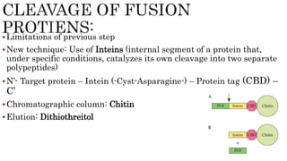Fusion proteins & inclusion bodies, M. Sc. Zoology, University of ...