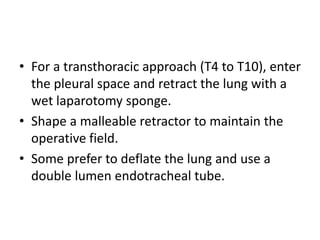 Fusion techniques spine | PPTX